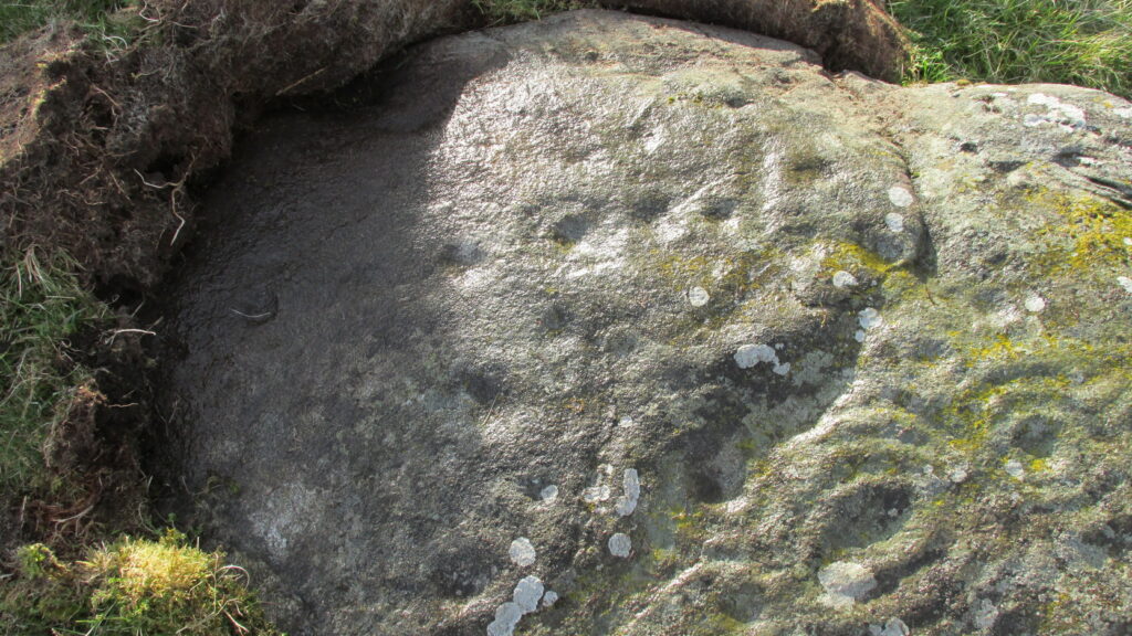 Drumderg (2), Tullymurdoch, Perthshire