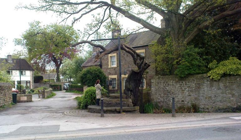 Druid’s Oak, Caton, Lancashire