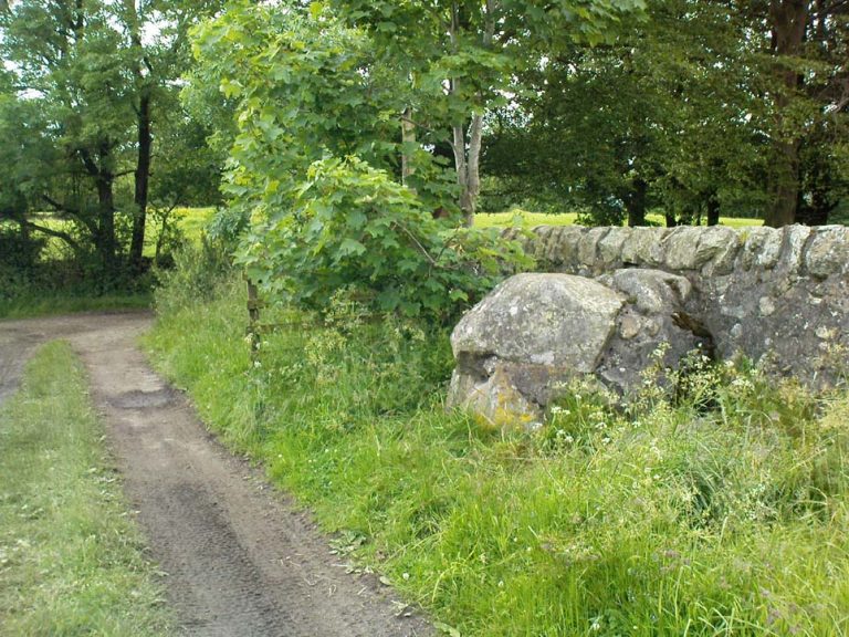 Bull Stone, Crook of Devon, Kinross-shire
