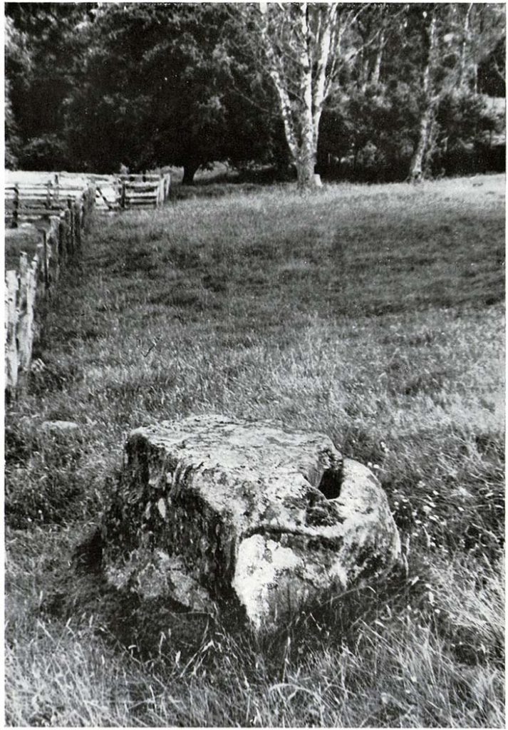 Whooping Cough Stone, Struan, Perthshire