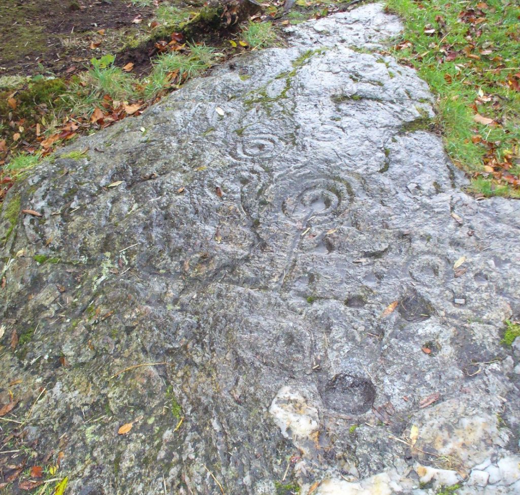 Weem Woods, Dull, Aberfeldy, Perthshire
