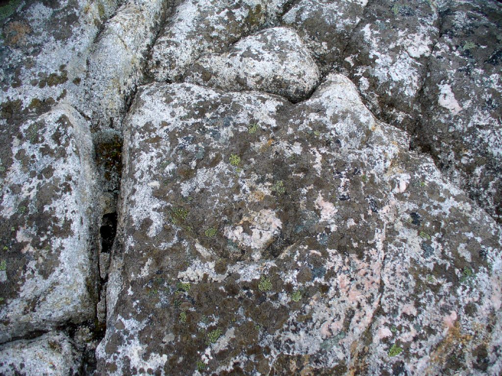 Ringstone Carving, Torrisdale Bay, Farr, Sutherland