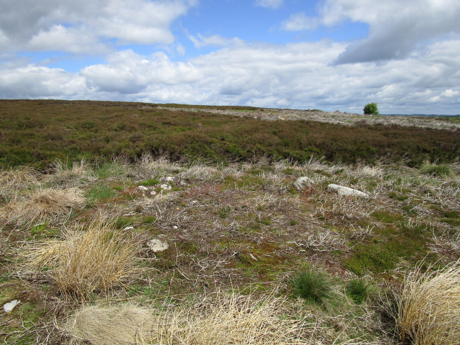 Shooting House East, Askwith Moor, North Yorkshire