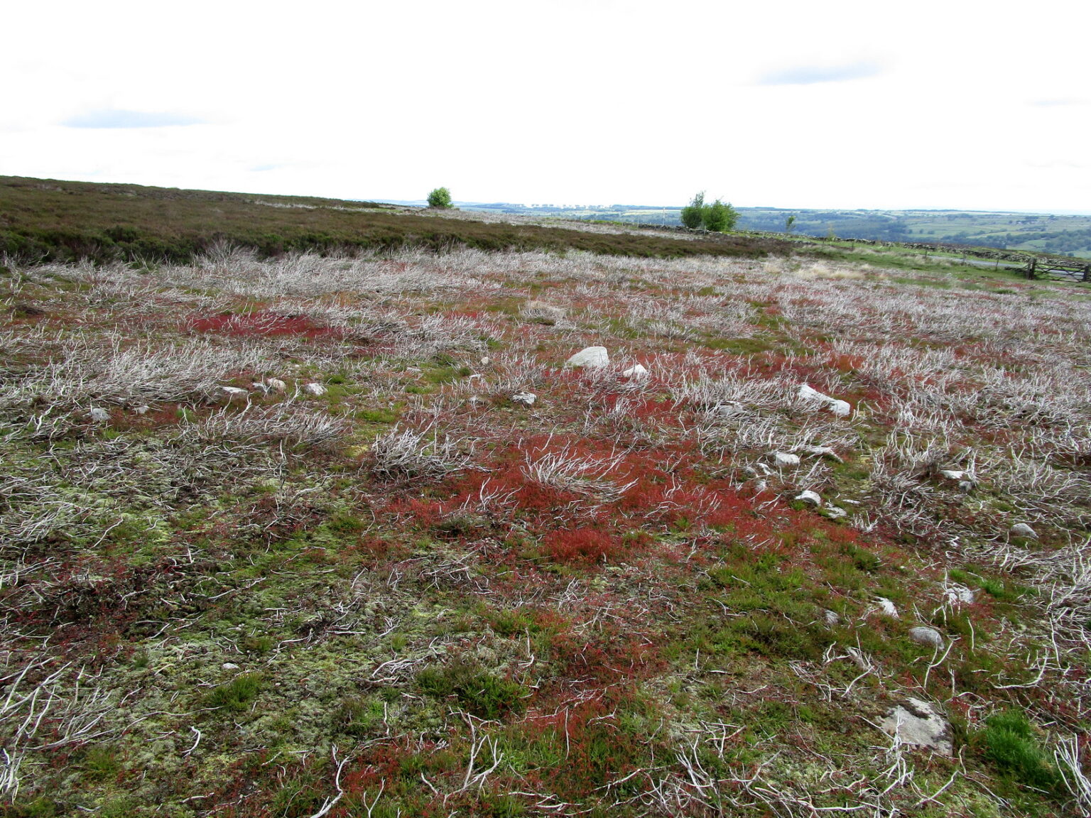 Shooting House East, Askwith Moor, North Yorkshire