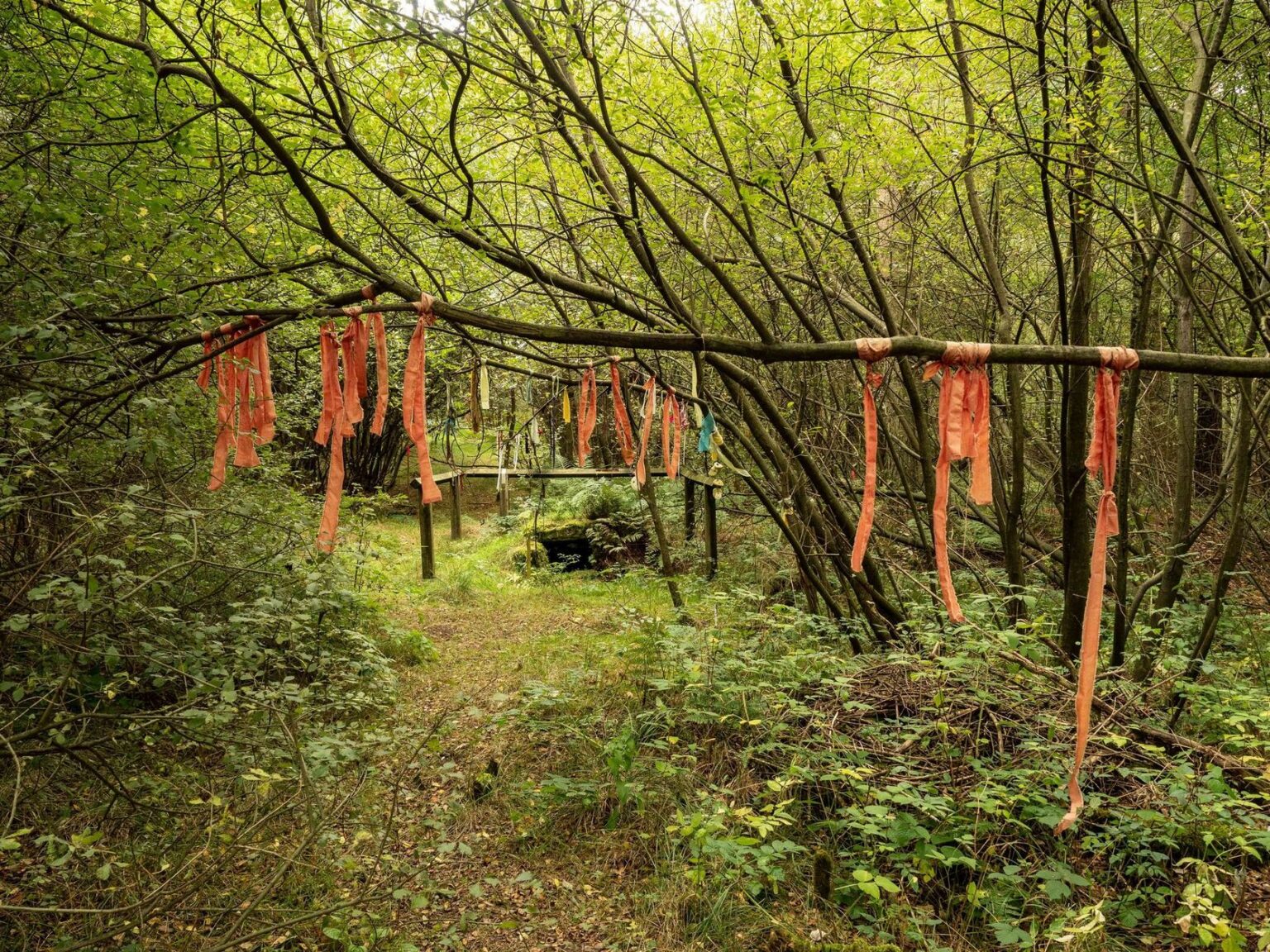 Old Wives’ Well, Stape, Pickering, North Yorkshire
