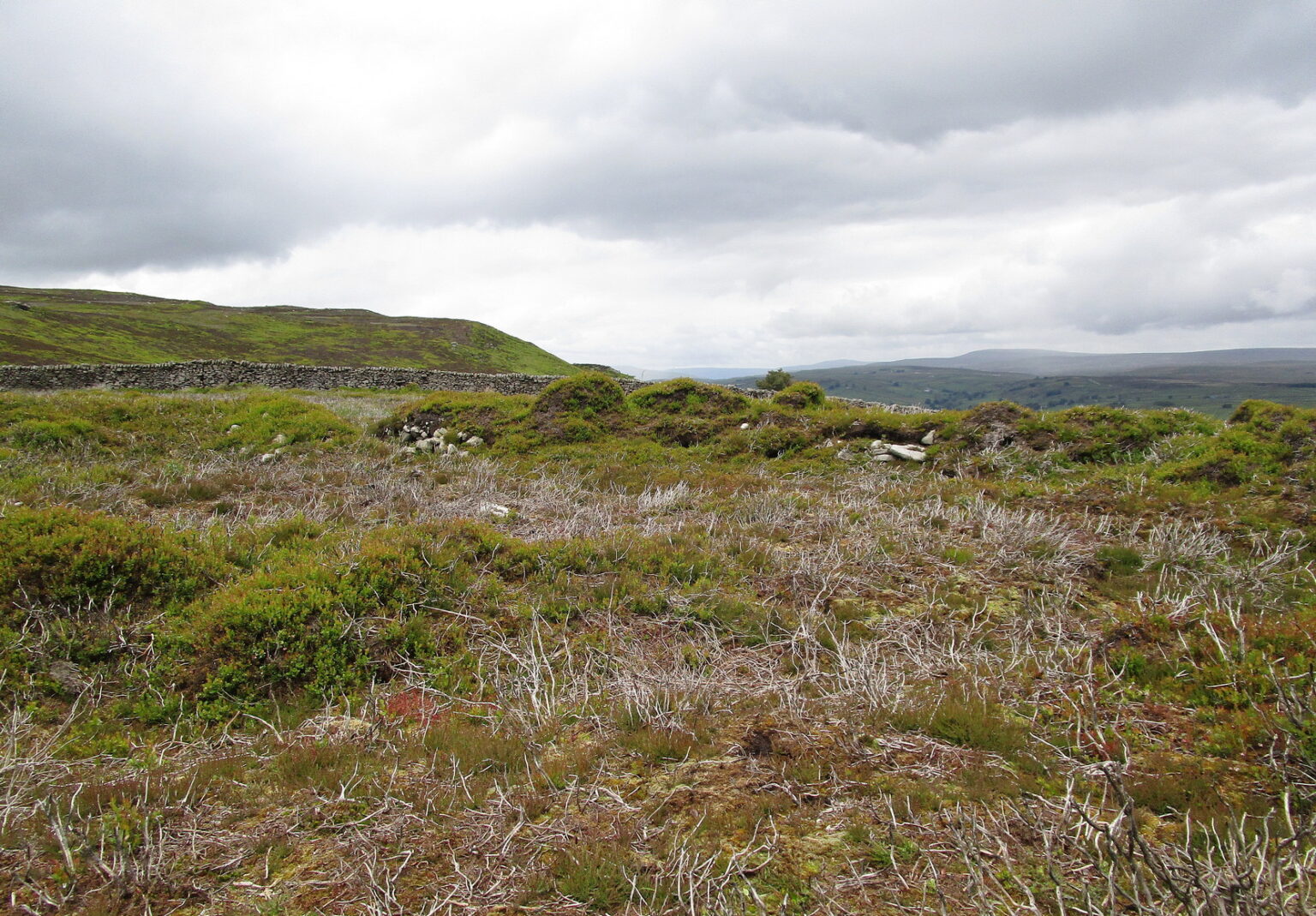 Folly Top, Barden Moor, North Yorkshire