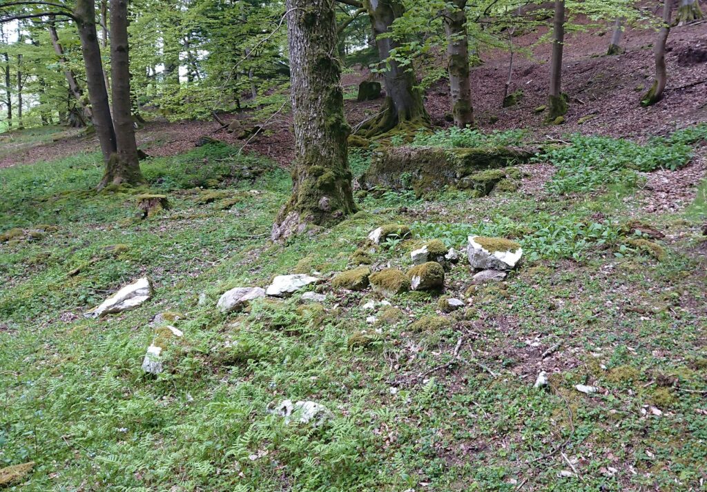 Holy Well, Glen Prosen, Angus