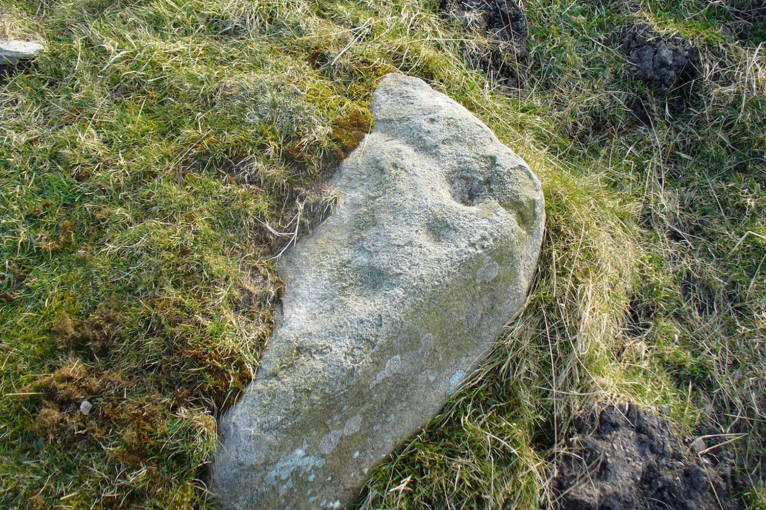 Snake Stone, Hawksworth, West Yorkshire