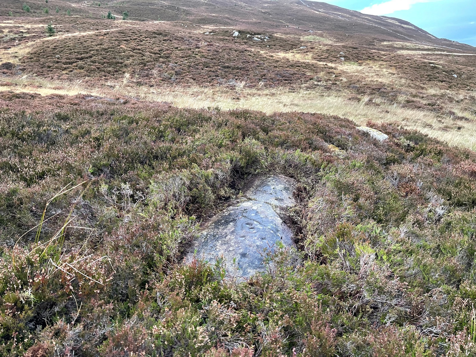 Craig Hill (17), Kenmore, Perthshire